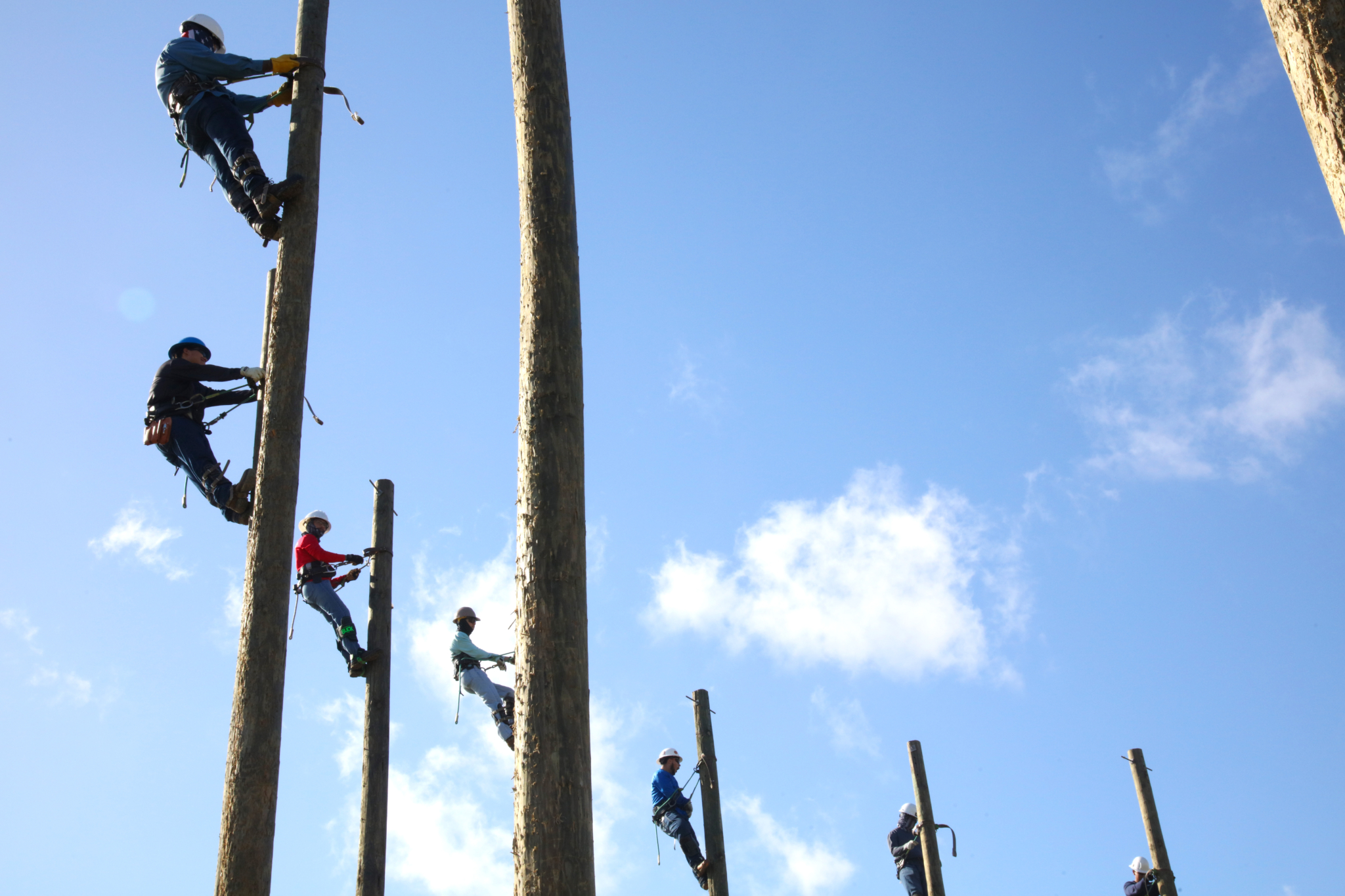 TSTC’s Harlingen campus expands Electrical Lineworker program with new resources this fall - TSTC